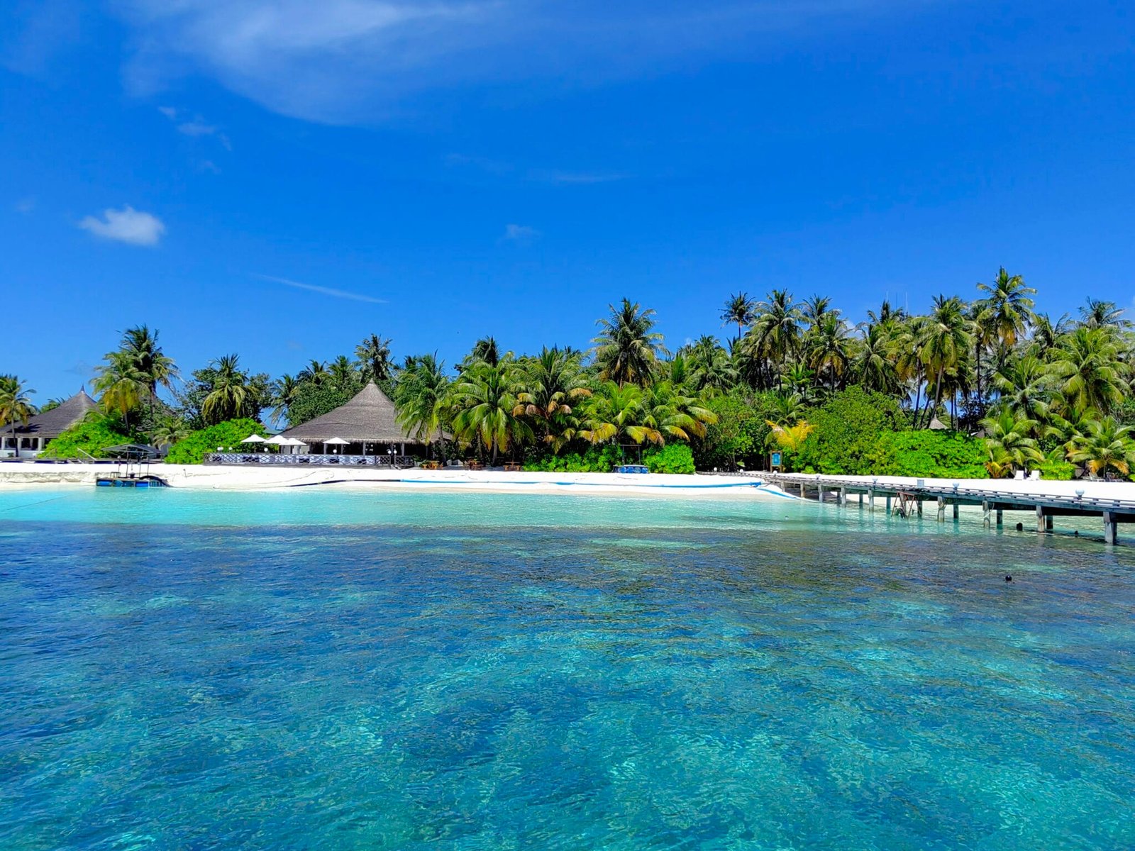 Top reasons to visit the Maldives for your next vacation